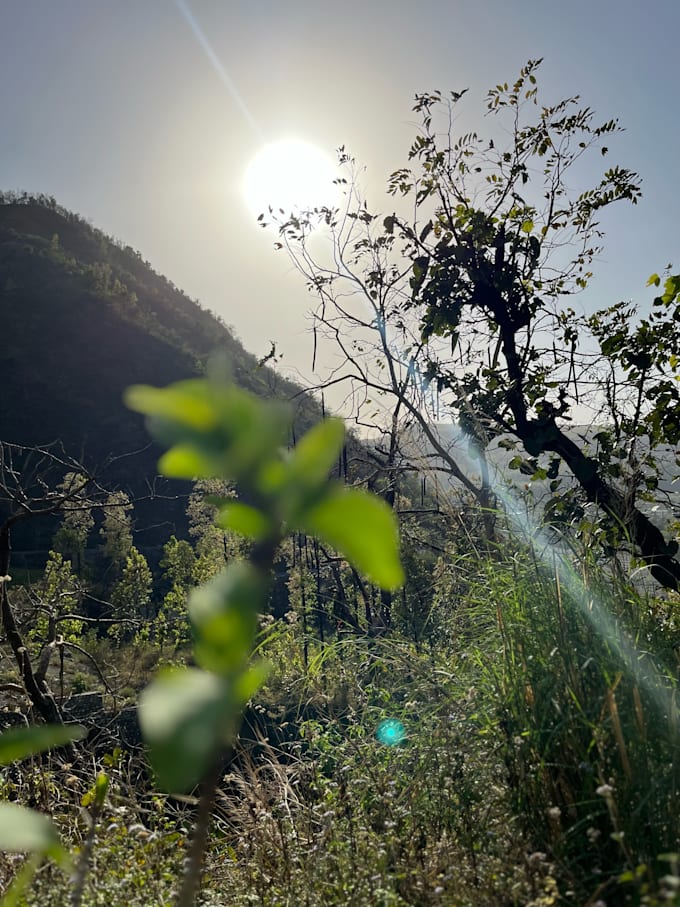 Edit your video in very aesthetic way by Ary_angupta | Fiverr