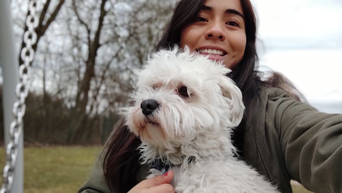 Interpret your meetings from eng to spa or vice versa by Selene825 | Fiverr