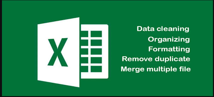 Do Excel Data Entry Cleaning Formatting And Remove Duplicate Data By