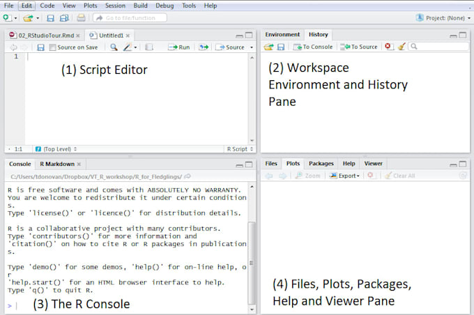 Do r coding and programming by Qureshi_pro3 | Fiverr
