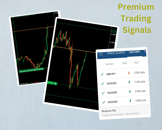 Provide high quality forex trading setups by Notsurewho | Fiverr