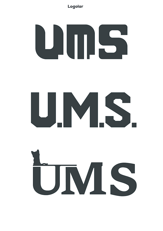 Design simple and easy to understand logo for you by Benbilmemki08 | Fiverr