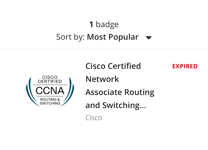 Help You Implement Cisco Packet Tracer Projects And Troubleshoot