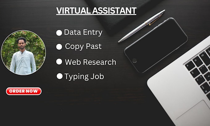 Do perfect data entry and virtual assistent for web entry by ...