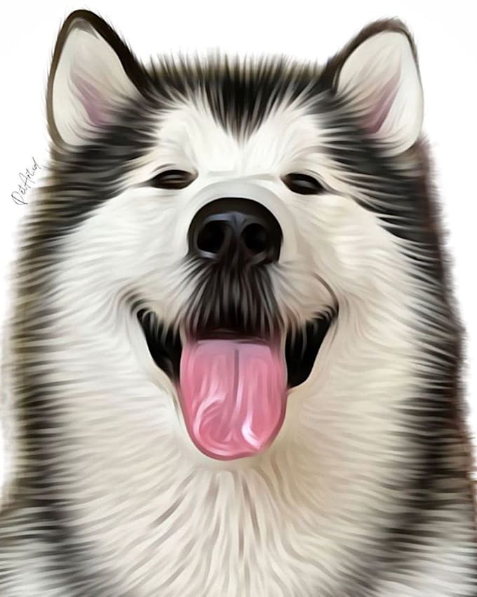 Create funny photo or video ads of dogs playing and relaxing by ...