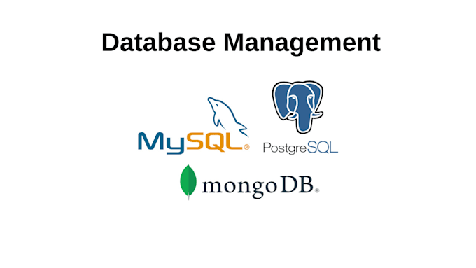 Help with database operations by Sistemadam | Fiverr