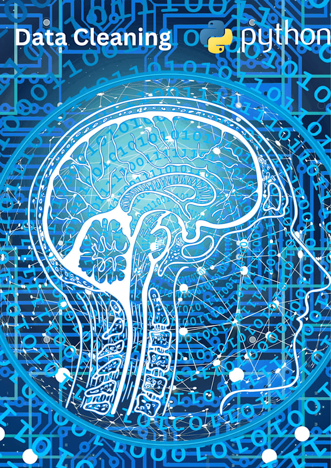 Data cleaning and transformation by Sahersohailkhan | Fiverr