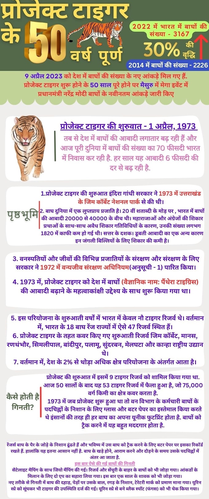 Best graphic design like poster,flyer,social media presentation etc by ...