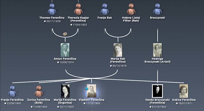 Do a croatian genealogy research for your family tree by Vplecko | Fiverr