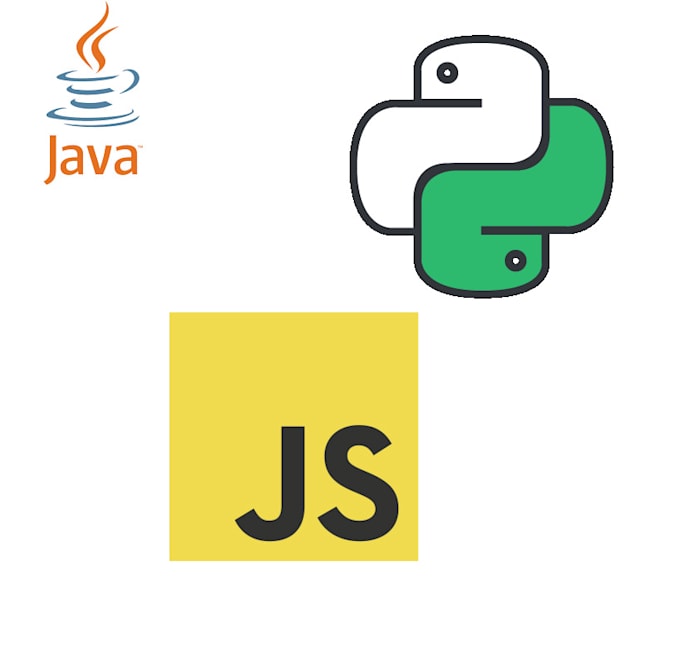 Write Any Code You In Python Java Javascript By Mikrusss Fiverr 