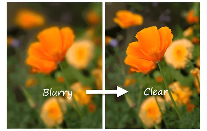 Transform blurry images into crystal clear, image enhancer by Cydomar ...