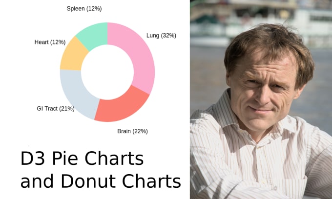 Create A Piechart Or Donut Chart Using D3 By Dynamicd3 Fiverr
