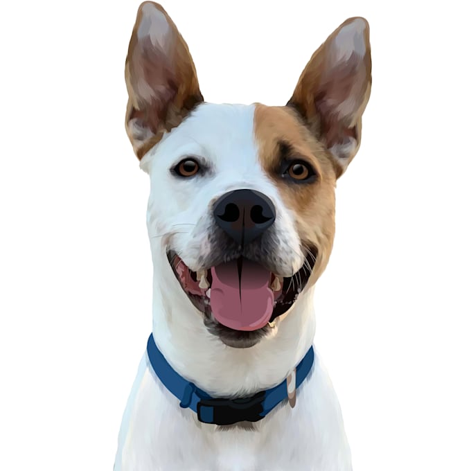 Turn your pet images become sweet pictures by Nizhamd | Fiverr