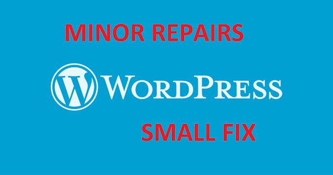 Fix small problem on wordpress by Supertools | Fiverr