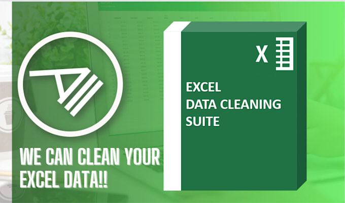 Clean and organize any excel data for your needs by Allenxwork | Fiverr