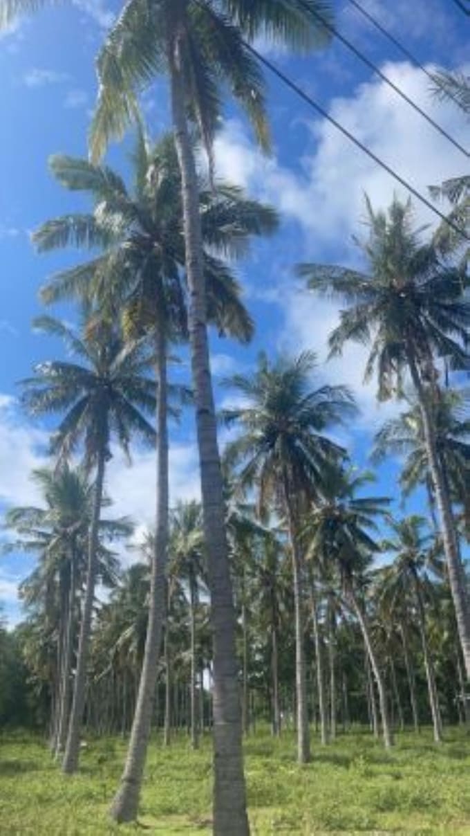 Create a customized travel itinerary for your dream trip by Moetalb ...