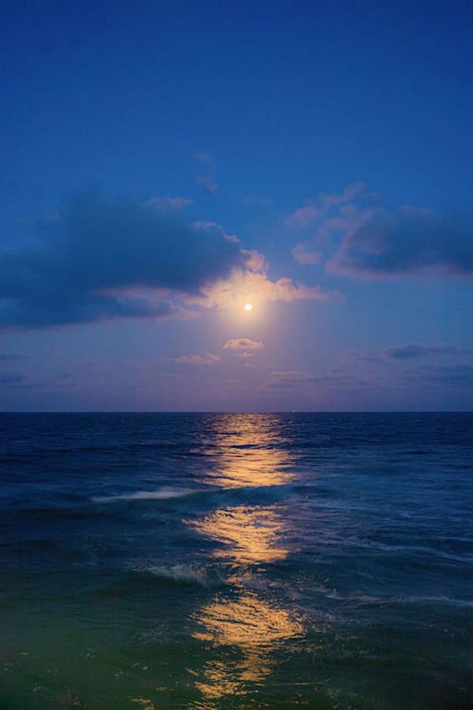 Complete a thorough and expedient edit by Bjackson120 | Fiverr