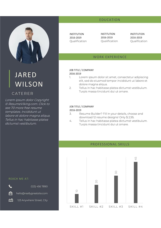 Infographic resumes cv formats infographics design by Alihaseeb_001 ...