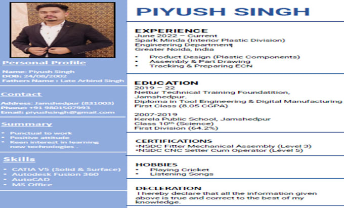 Make cv, excel, ppt, word, and data entry by Piyushsingh2408 | Fiverr