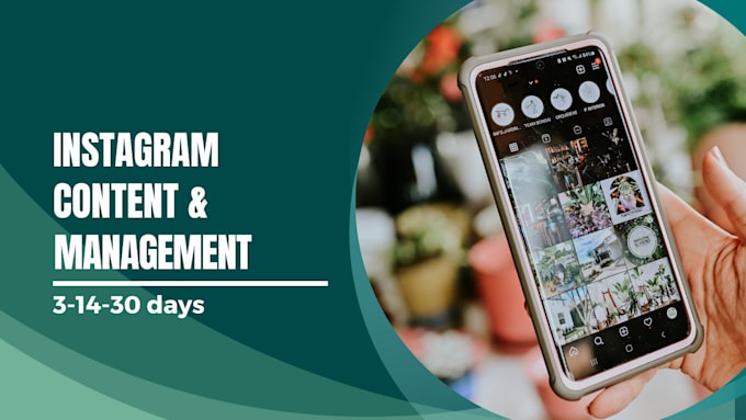 Create instagram content and manage your account by Tommasomarucci | Fiverr