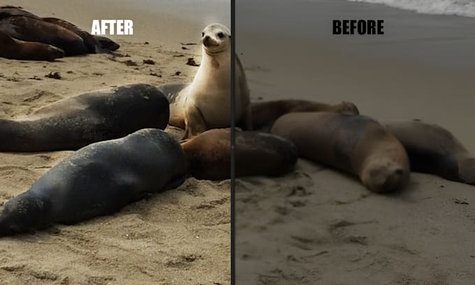 Restore, upscale, enhance, sharpen, and improve photos by ... Restore, upscale, enhance, sharpen, and improve photos by ...