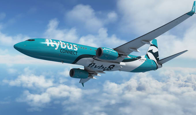 Create custom virtual airline liveries for msfs aircraft by Sekwah275 ...