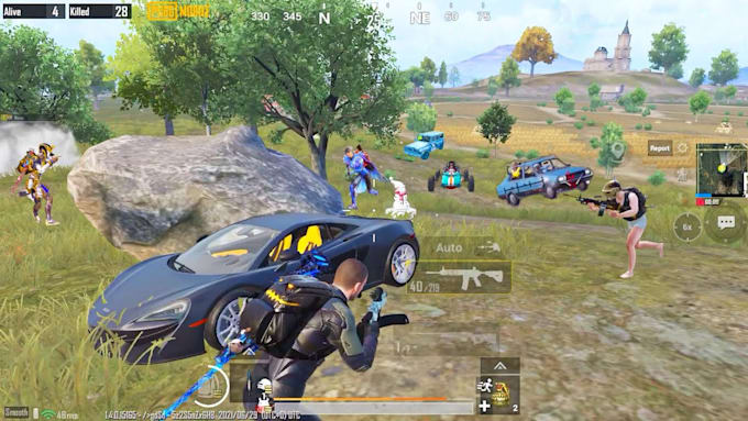 Help you expert in pubg by Holmankatha | Fiverr