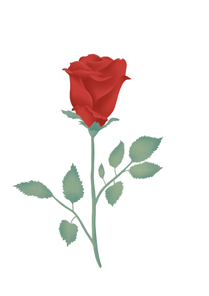 Create you a six second bespoke botanical animation by Lorofnature | Fiverr