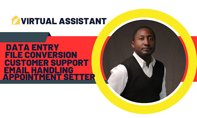 Be your virtual assistant with data entry knowledge by Ikemobiobiapi ...