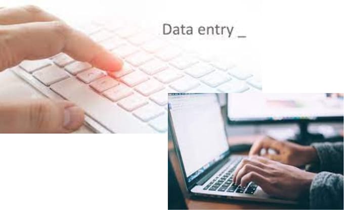 Do really nice data entry related work by Shubhamgarg942 | Fiverr