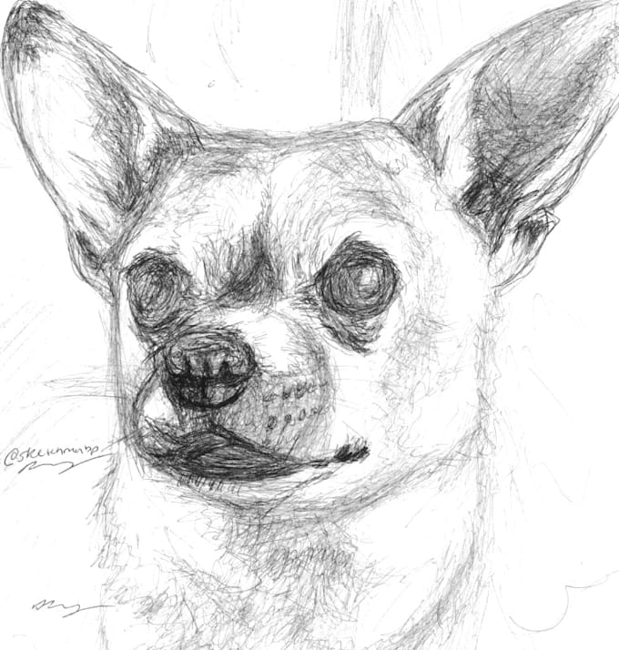 Draw your pet companion by Sketchmanbp | Fiverr