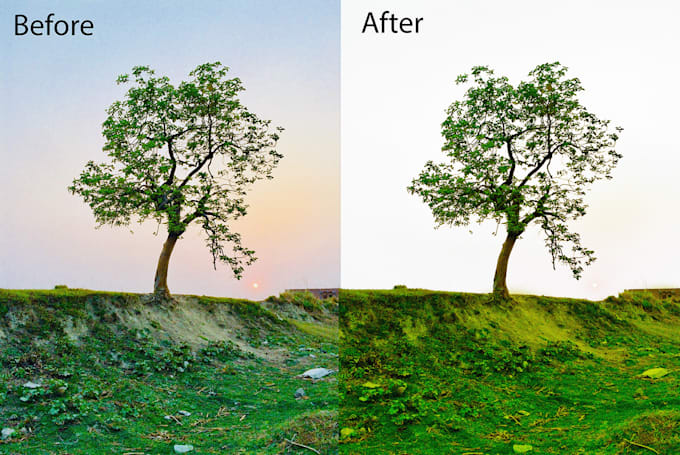 Do photo editing and graphic enhancement by Amina_gulnawaz | Fiverr