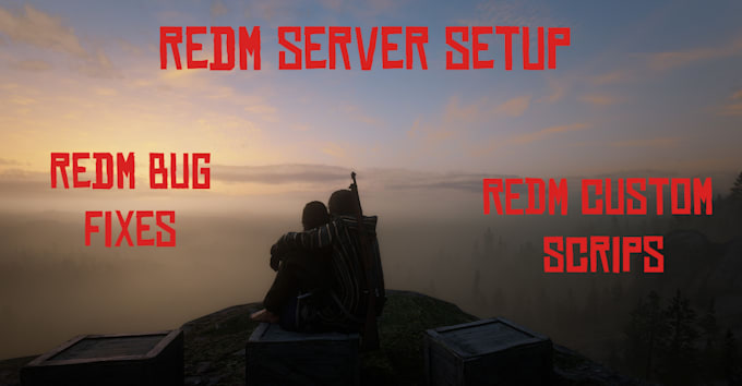 Bug fix your server or setup a redm server for you by Savage_pancake ...