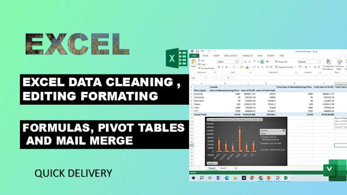 Do excel work formating and editing by Vishu4t6u | Fiverr
