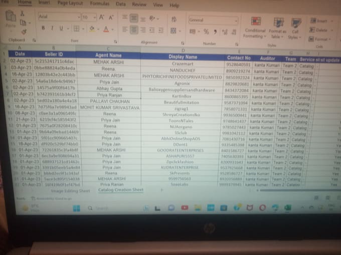 Do accurate data entry , best ppt presentation , resume by Nutan_ms ...