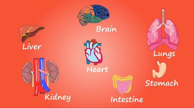 Provide handwritten medical notes for usmle plab amc by Solo_master ...