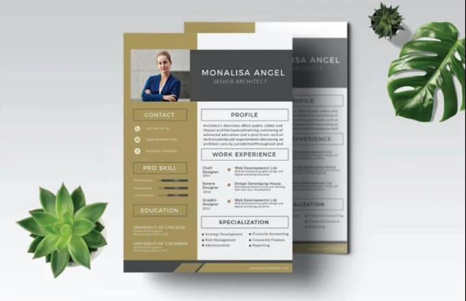 Professional cv or resume design modern and eye catching by ...