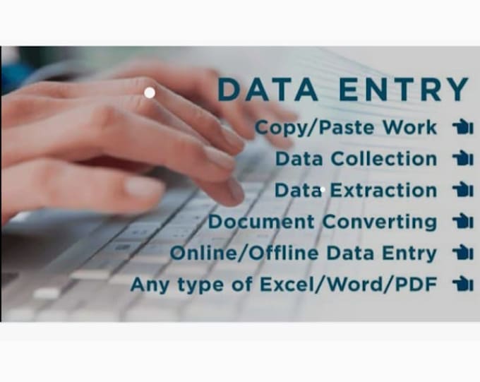 Do data entry work efficiently by Nikitapatil258 | Fiverr