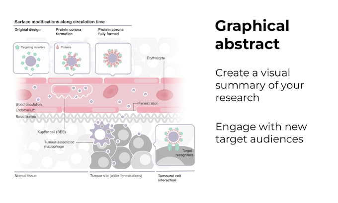 Create a graphical abstract for your publication by Toniarandaramos ...
