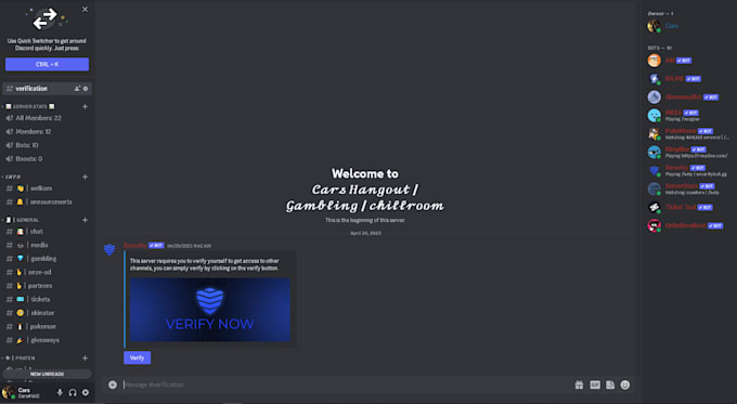 Make a nice and clean discord server for you by Lars09010 | Fiverr
