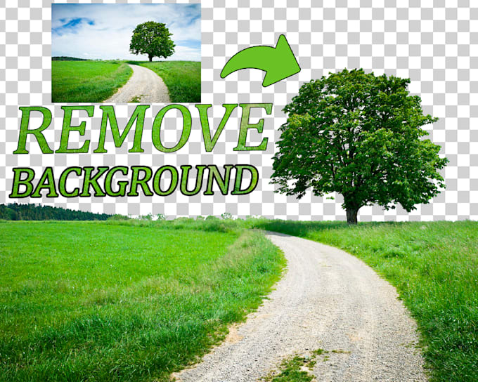 Cut out images background removal professionally by Faxriddin777 | Fiverr