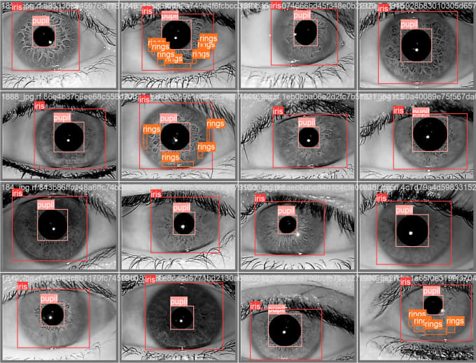 Do Any Ai Projects With Api For Classification Object Detection