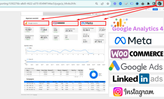 Create professional google looker studio dashboards, looker studio pro ...