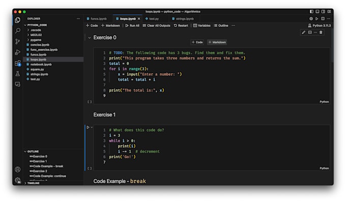 Teach you computer programming with python by Cinnamon2140 | Fiverr