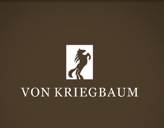 Do a beauty, cosmetics, and fashion logo for business by Sara_steiner ...