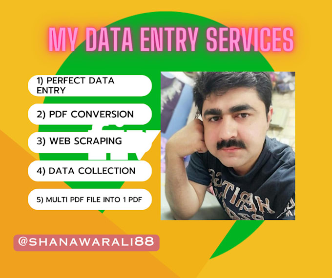 Do perfect data entry, pdf conversion, data collection by Shanawarali88 ...