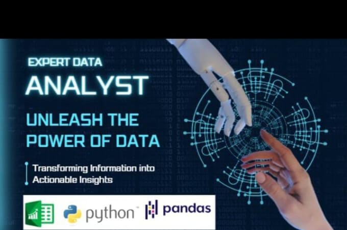 Provide expert data cleaning excel and python clean, merge, and ...