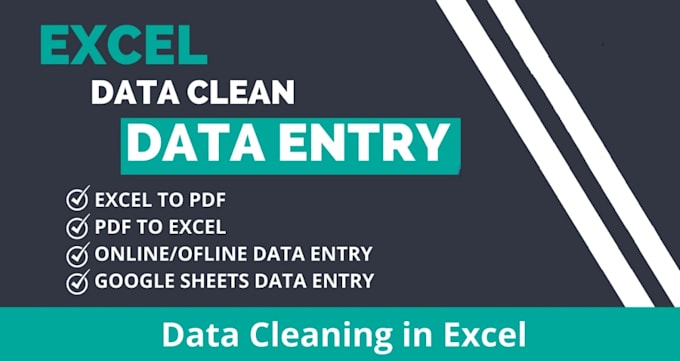 Do excel data entry, excel data cleaning, copy past by Sapan9692 | Fiverr