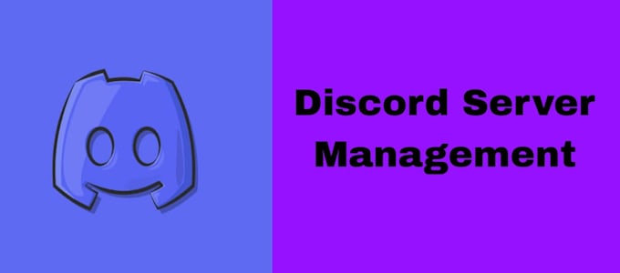 Be a discord moderator by Nitroo7 | Fiverr