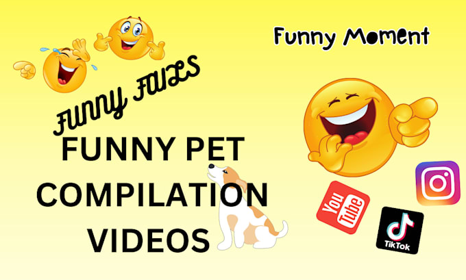 Create funny compilation video, funny animal video for tiktok youtube ...